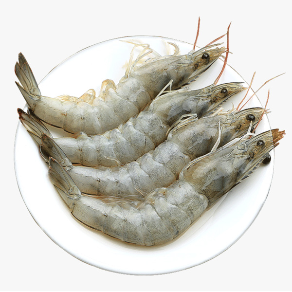 PTO (Peeled Tail-On) Shrimp - Shrimps