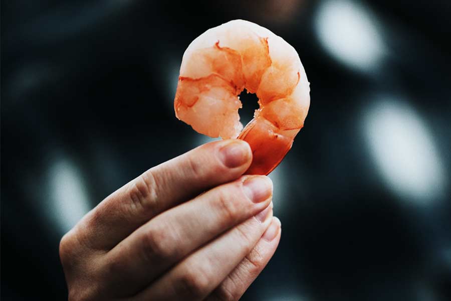 Individually quick freezing technology in the shrimp processing ...