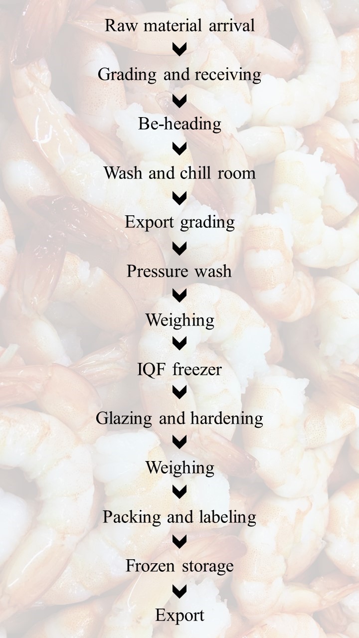 Individually quick freezing technology in the shrimp processing ...