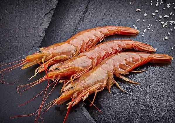 All about Wild-Caught Shrimp - Shrimps