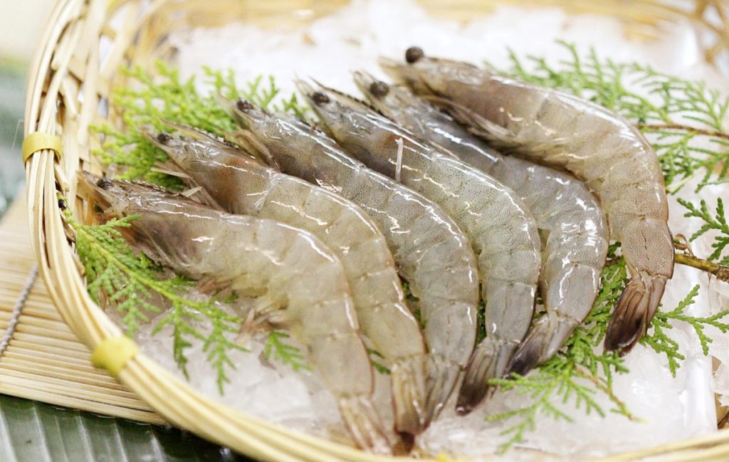 Super-intensive shrimp farming - Shrimps