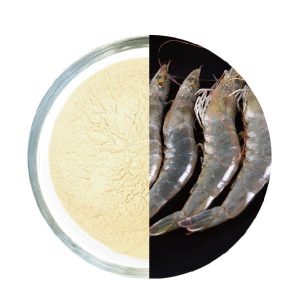 The use of probiotics in shrimp farming - Shrimps