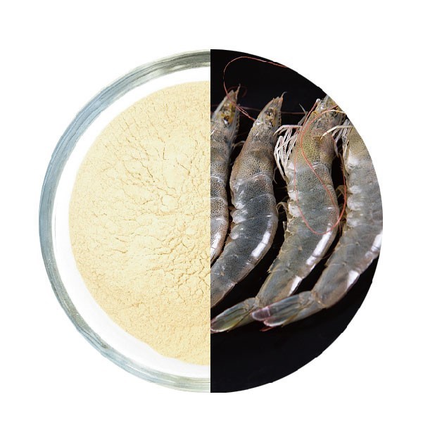 The use of probiotics in shrimp farming - Shrimps