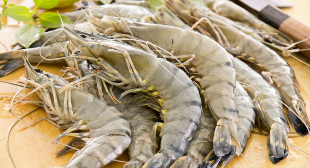 Global Shrimp Market Status in 2022 and 2023 - Shrimps
