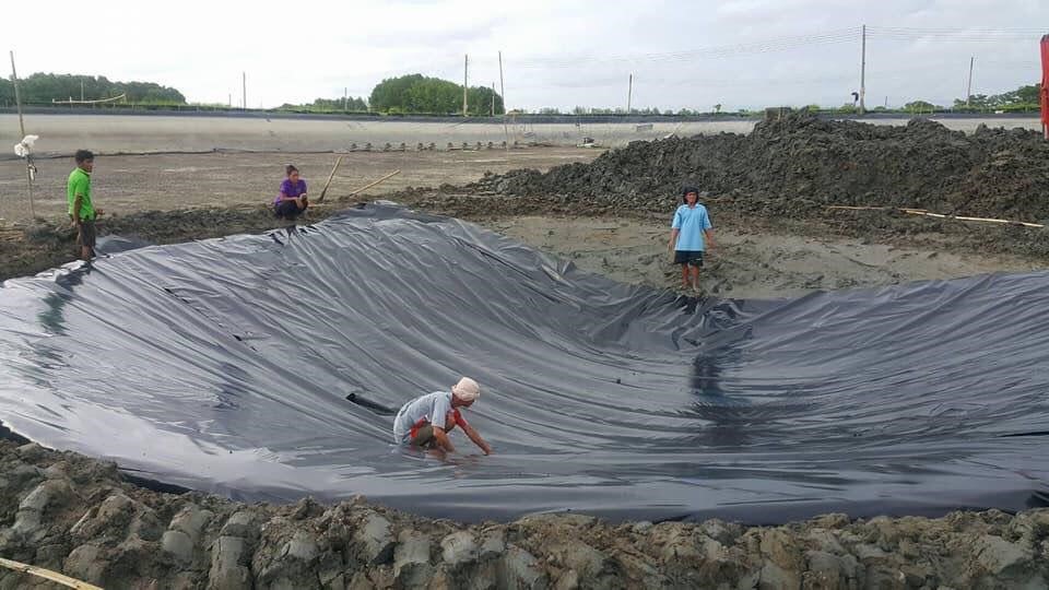 Central drain or shrimp toilet, one way to manage waste - Shrimps
