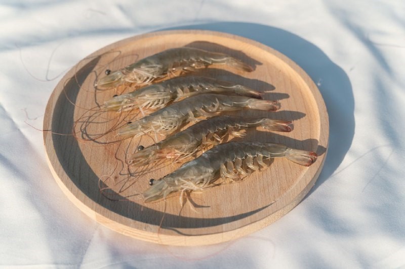 The effect of nutritional supplements on shrimp growth and health - Shrimps