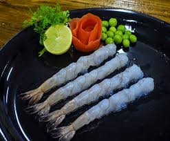 Iran Vannamei Shrimp: Boosting Profitability & Sustainability - Shrimps