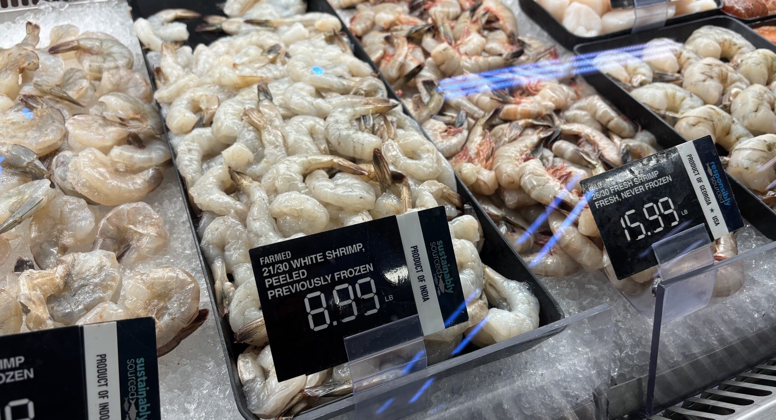 Iranian Frozen Vannamei shrimp - Shrimps