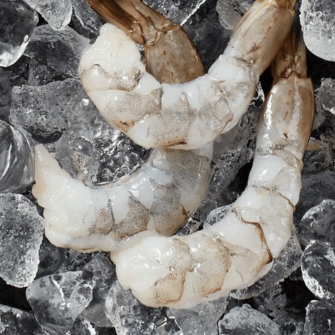 Iran Frozen Vannamei shrimp - Shrimps