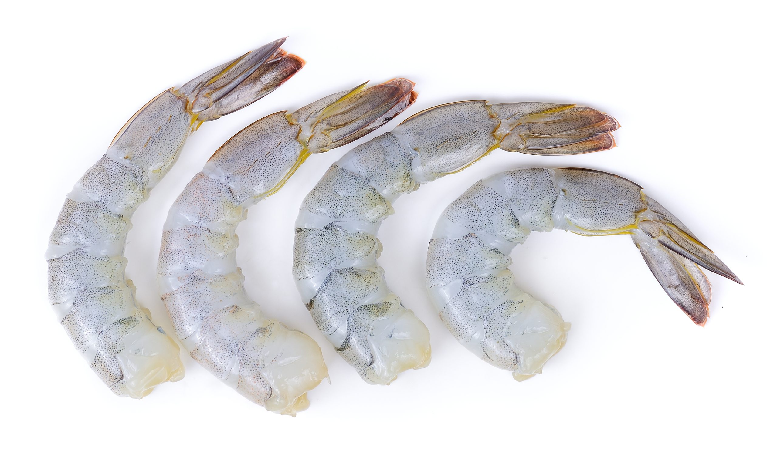 PTO (Peeled Tail-On) Shrimp - Shrimps