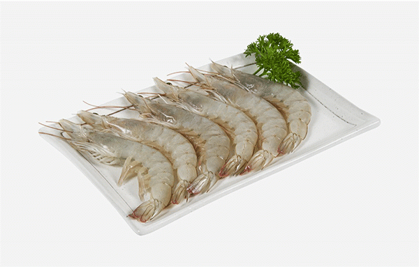 Iranian Frozen Vannamei Shrimp for Export - Shrimps